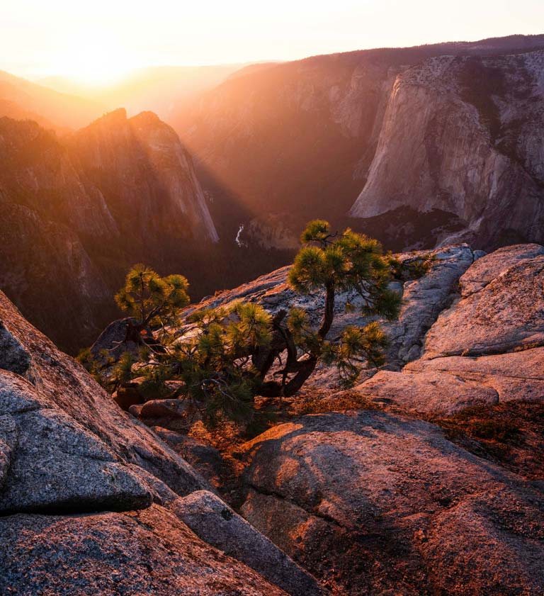 The Best Summer Hikes - Yosemite National Park Hiking Guides